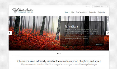 Web Templates | Lithium Technologies