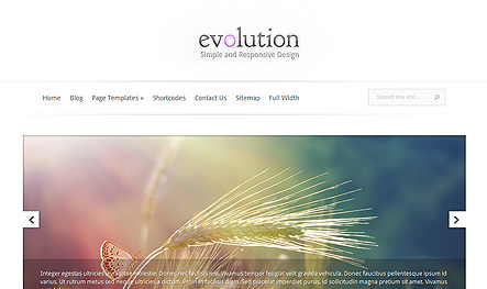 Web Templates | Lithium Technologies